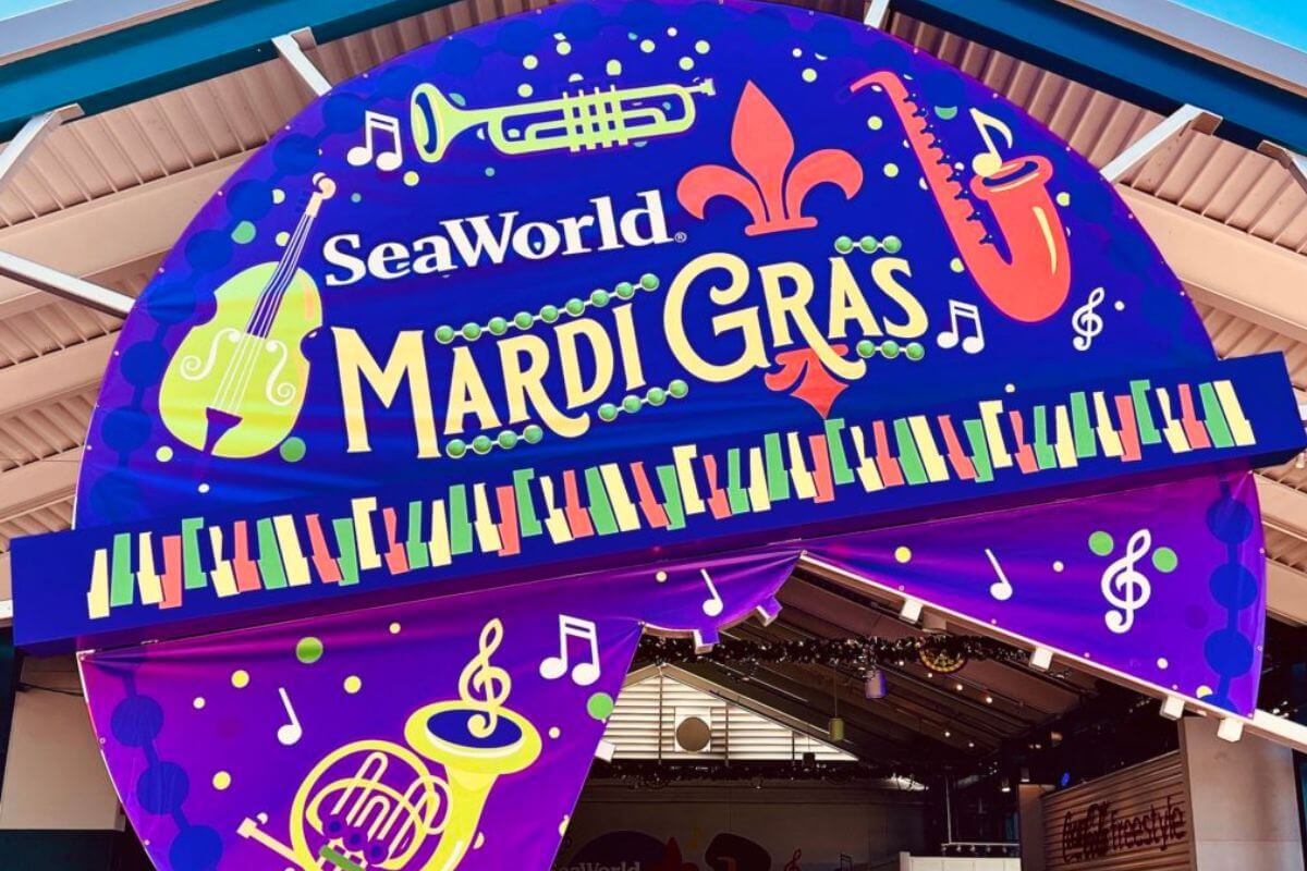 A Florida Mardi Gras Festival and Parade Guide • Authentic Florida