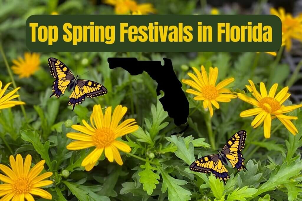 Top Spring Festivals in Florida (2025) • Authentic Florida