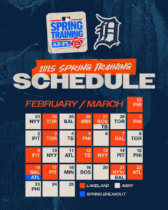 A Guide to MLB Spring Training in Florida (2025) • Authentic Florida