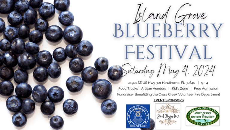 Discover the Best Blueberry Festivals in Florida (2024) • Authentic Florida