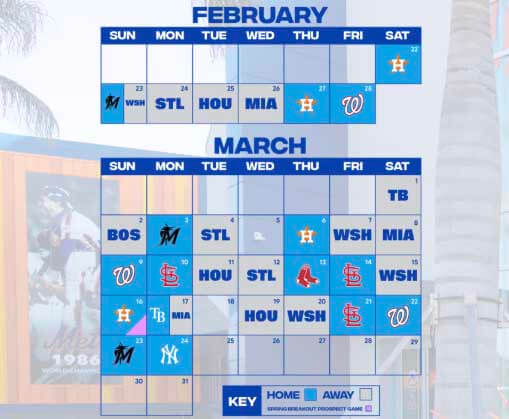 A Guide to MLB Spring Training in Florida (2025) • Authentic Florida