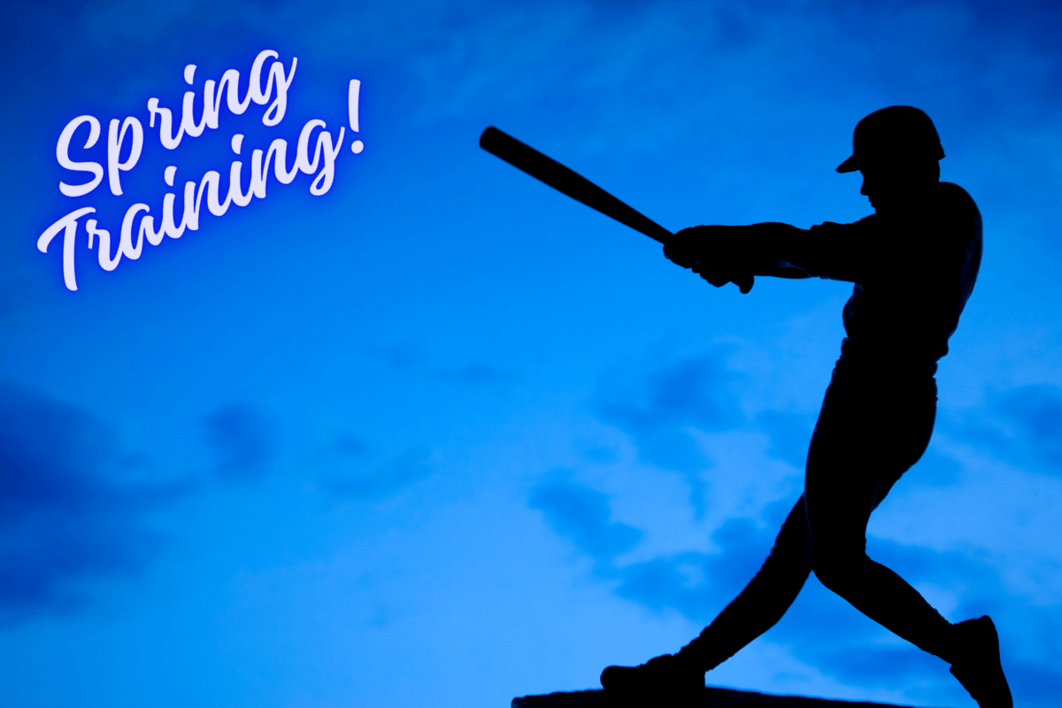 A Guide to MLB Spring Training in Florida (2025) • Authentic Florida