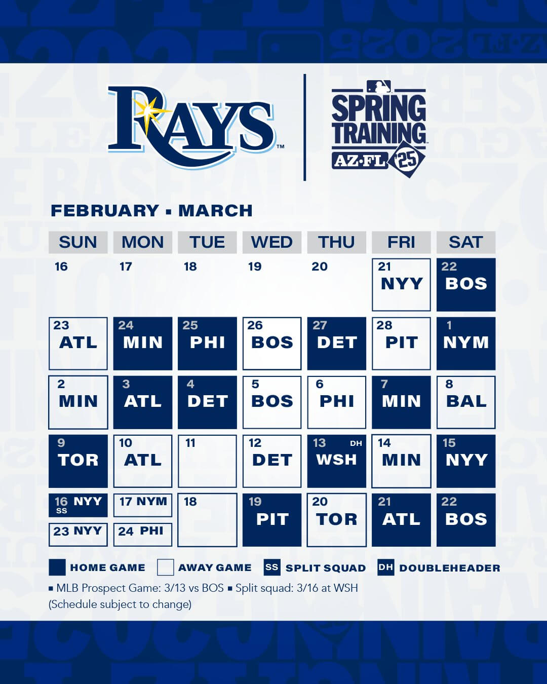 A Guide to MLB Spring Training in Florida (2025) • Authentic Florida