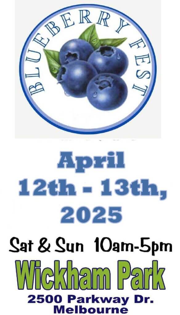 Discover the Best Blueberry Festivals in Florida (2025) • Authentic Florida