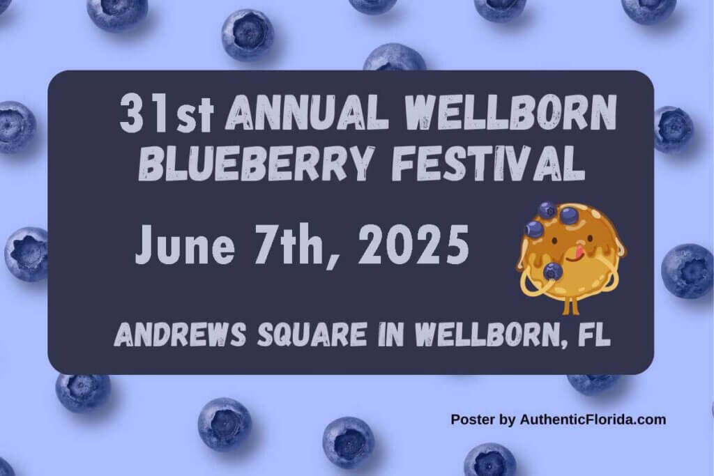 Discover the Best Blueberry Festivals in Florida (2025) • Authentic Florida
