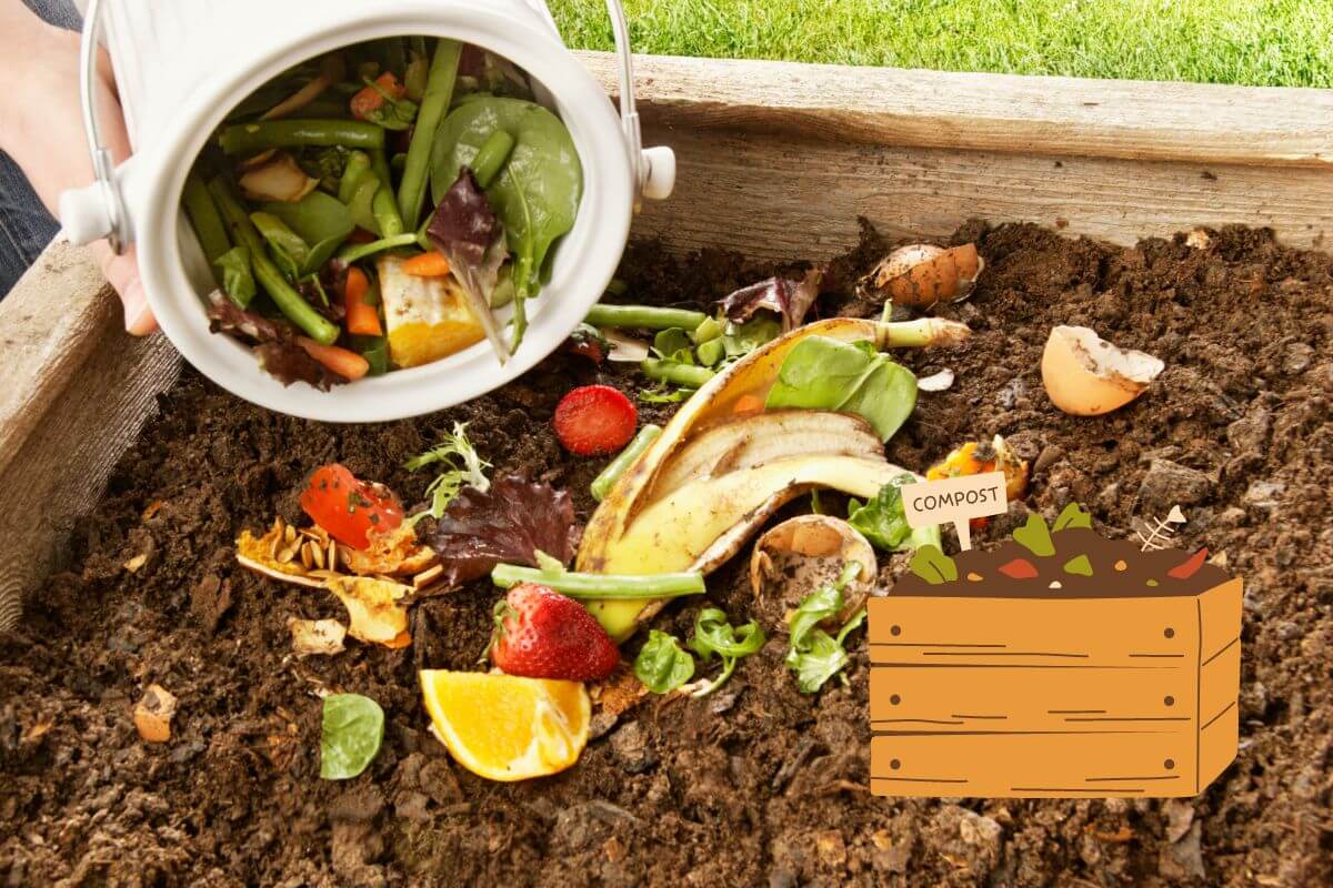 Make Every Day Earth Day in Florida with 24 Sustainable Initiatives