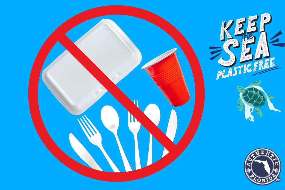 Make Every Day Earth Day in Florida with 24 Sustainable Initiatives