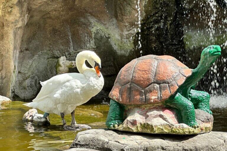 12+ Best Things to Do in Delray Beach, Florida • Authentic Florida