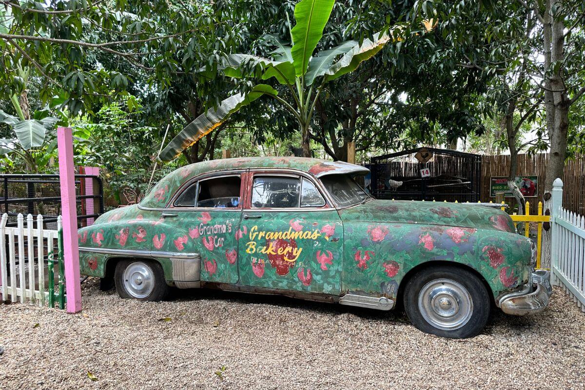 12+ Best Things to Do in Delray Beach, Florida • Authentic Florida