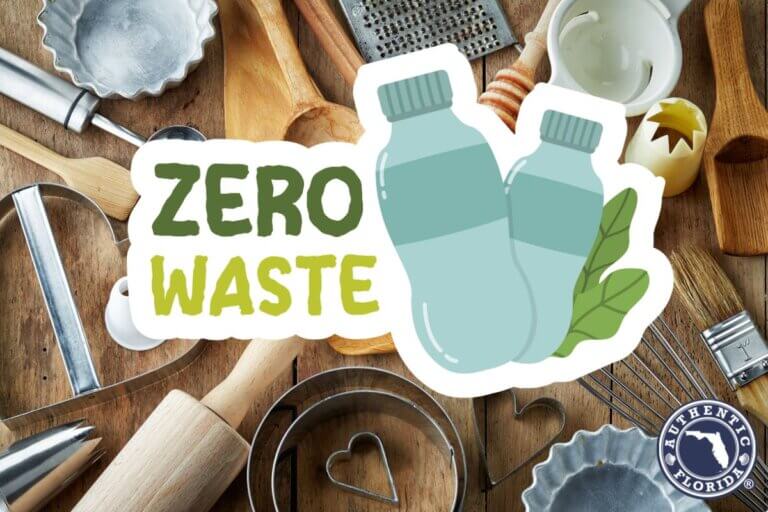 Make Every Day Earth Day in Florida with 24 Sustainable Initiatives