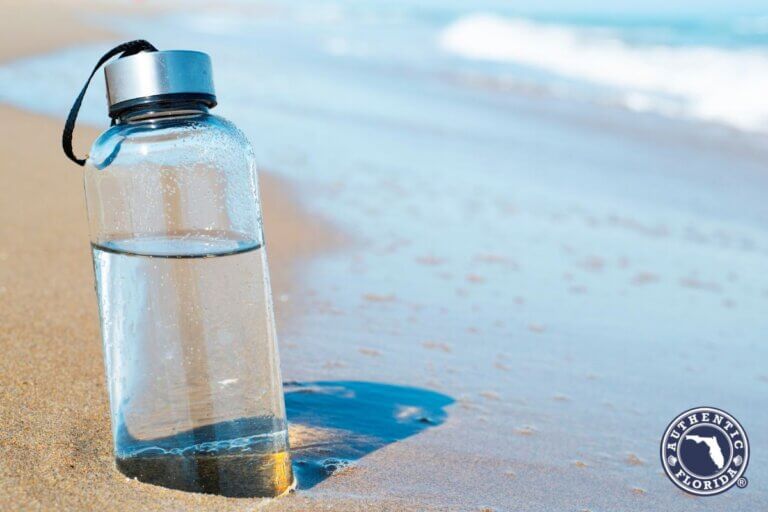 Make Every Day Earth Day in Florida with 24 Sustainable Initiatives