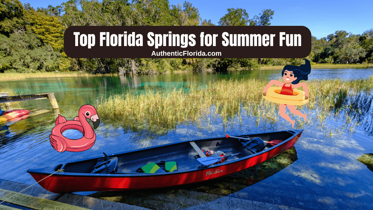 Eight Florida Springs for Summer Fun (2025) • Authentic Florida