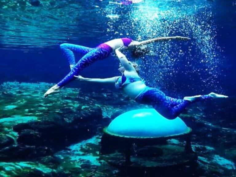 Discover the Whimsical World of Florida Mermaids • Authentic Florida