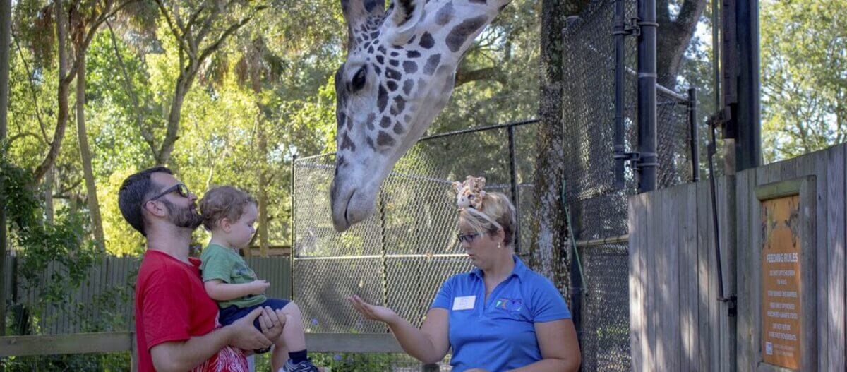 19 Best Things to Do for Father’s Day in Florida • Authentic Florida