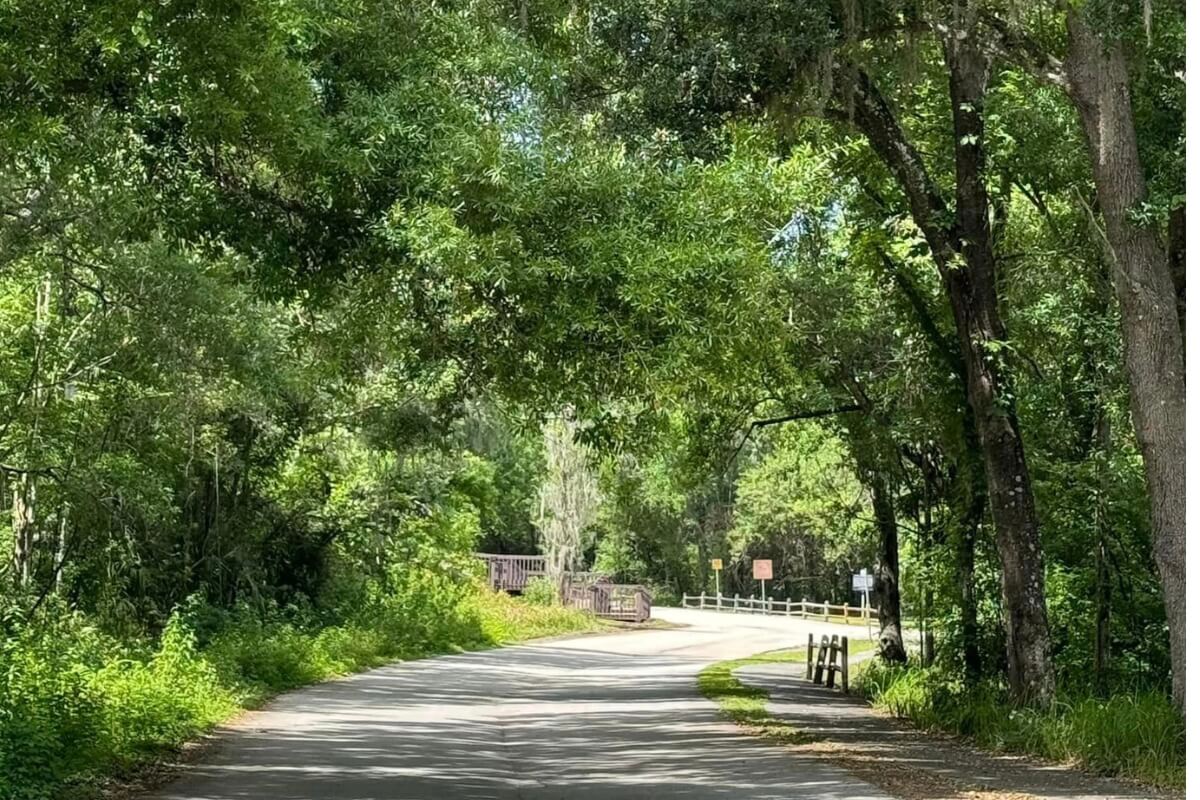 The 7 Best Things to Do in Bartow, Florida (2025) • Authentic Florida