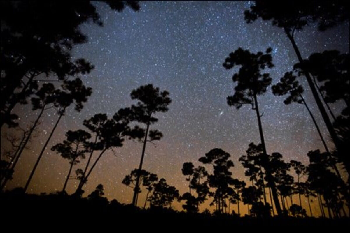 8 Top Stargazing Spots in Florida (2025) • Authentic Florida