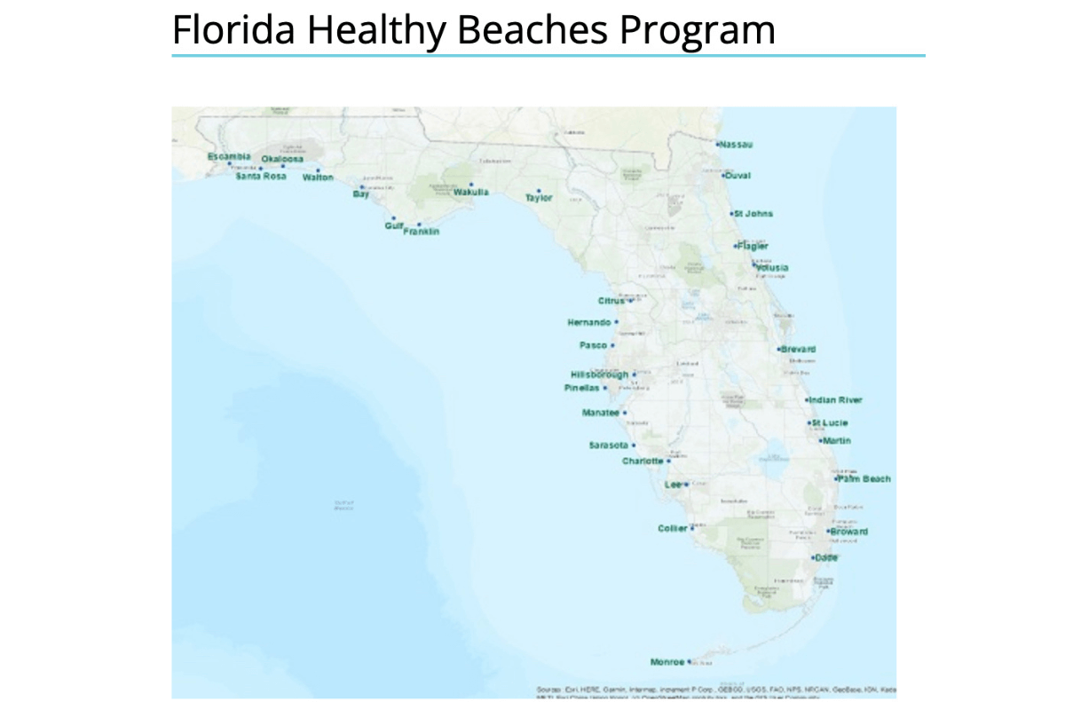 Best Places to Find Shark Teeth in Florida in 2024 • Authentic Florida