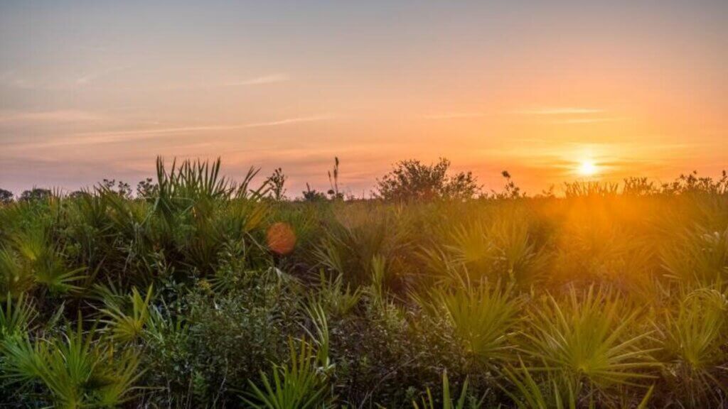 14 Best Sunset Spots in Florida (2024) • Authentic Florida
