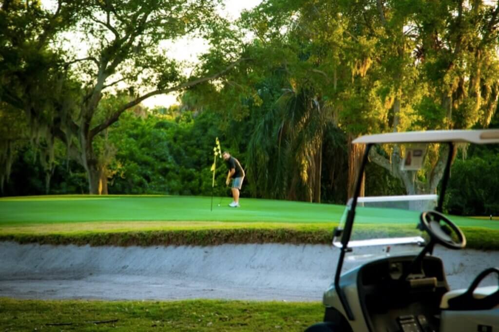 15 Best Things to Do in Venice, Florida (2025) • Authentic Florida