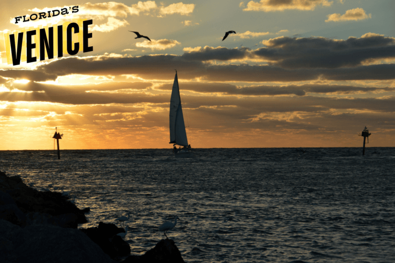 15 Best Things to Do in Venice, Florida (2025) • Authentic Florida
