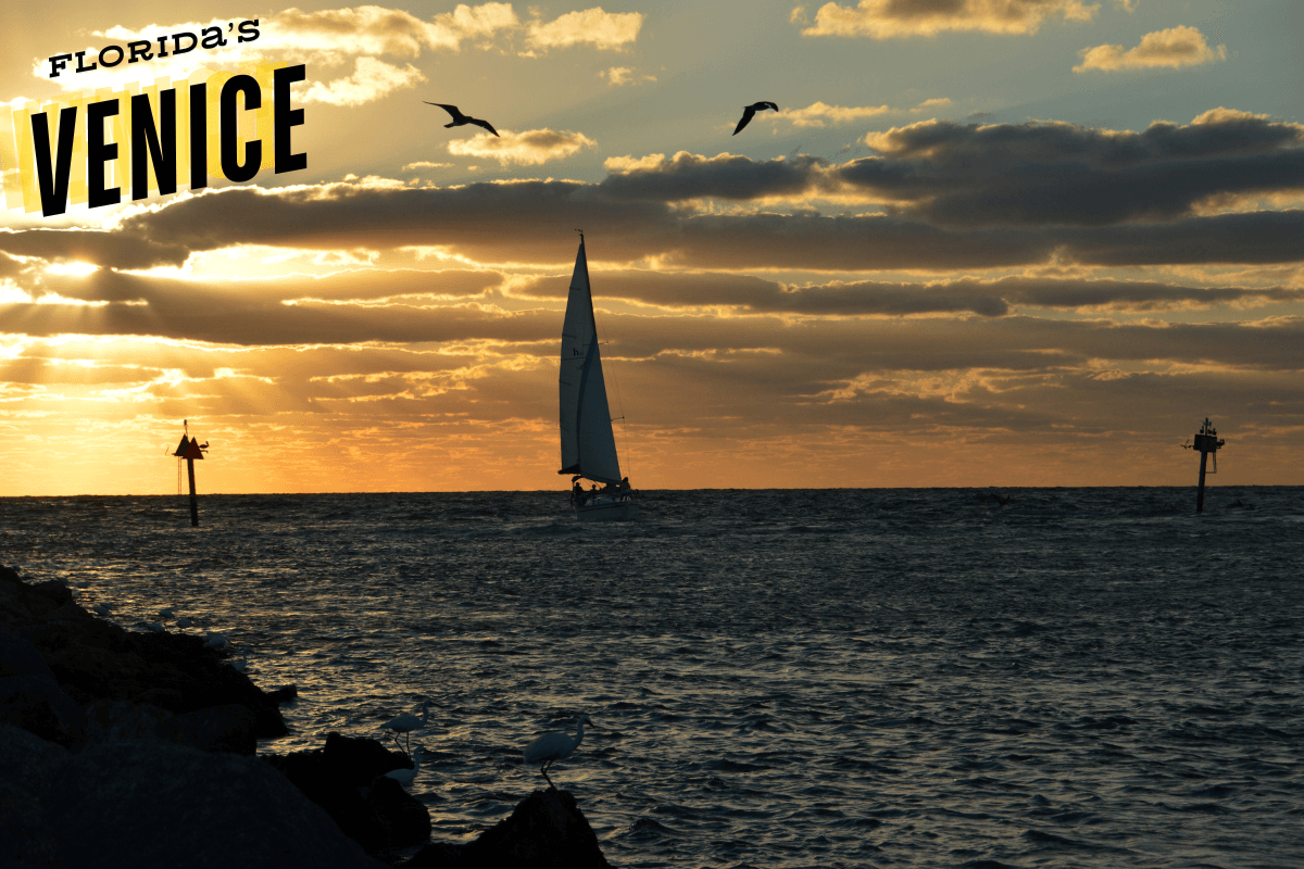 15 Best Things to Do in Venice, Florida (2025) • Authentic Florida