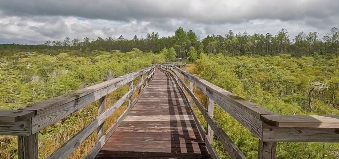 12 Best Things to Do in Carrabelle, Florida (2025) • Authentic Florida