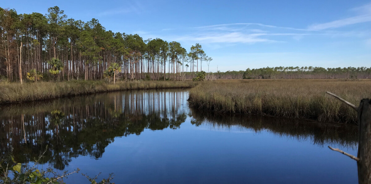 12 Best Things to Do in Carrabelle, Florida (2025) • Authentic Florida