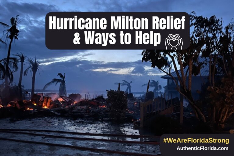 Hurricane Milton Relief in Florida & Ways to Help • Authentic Florida