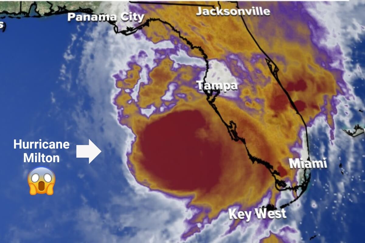 Hurricane Milton Relief in Florida & Ways to Help • Authentic Florida
