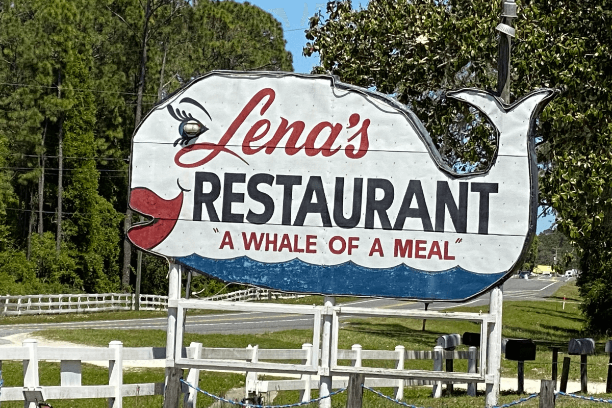 Silver Glen Springs Recreation Area + Nearby Things to Do • Authentic ...