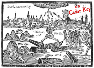 A Guide to Pirate Festivals in Florida • Authentic Florida