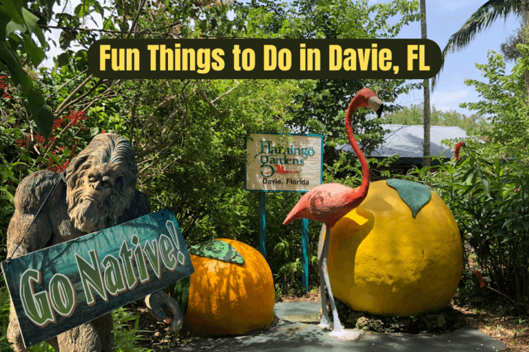 11 Best Things to Do in Davie, FL (2025) • Authentic Florida