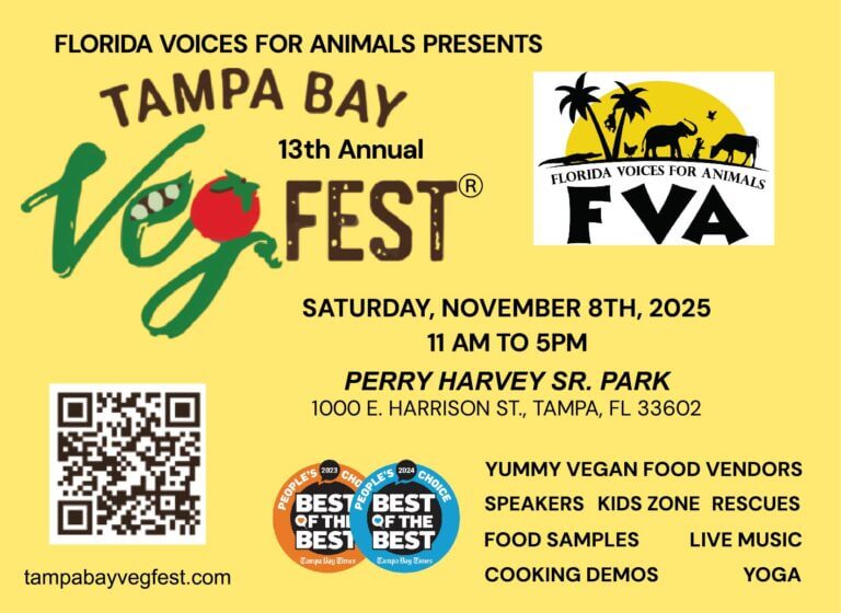 A Guide to the Top Vegan Festivals in Central Florida • Authentic Florida