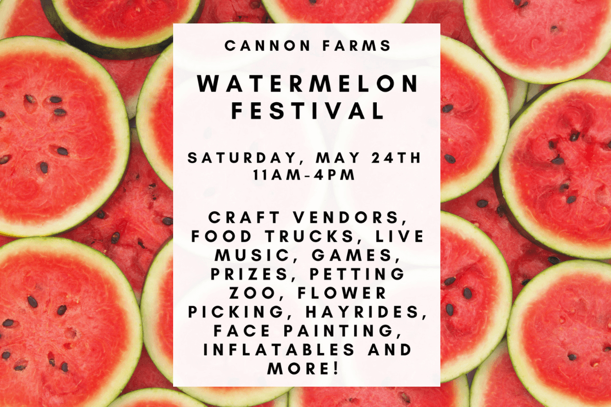 A Slice of Paradise: Watermelon Festivals in Florida • Authentic Florida