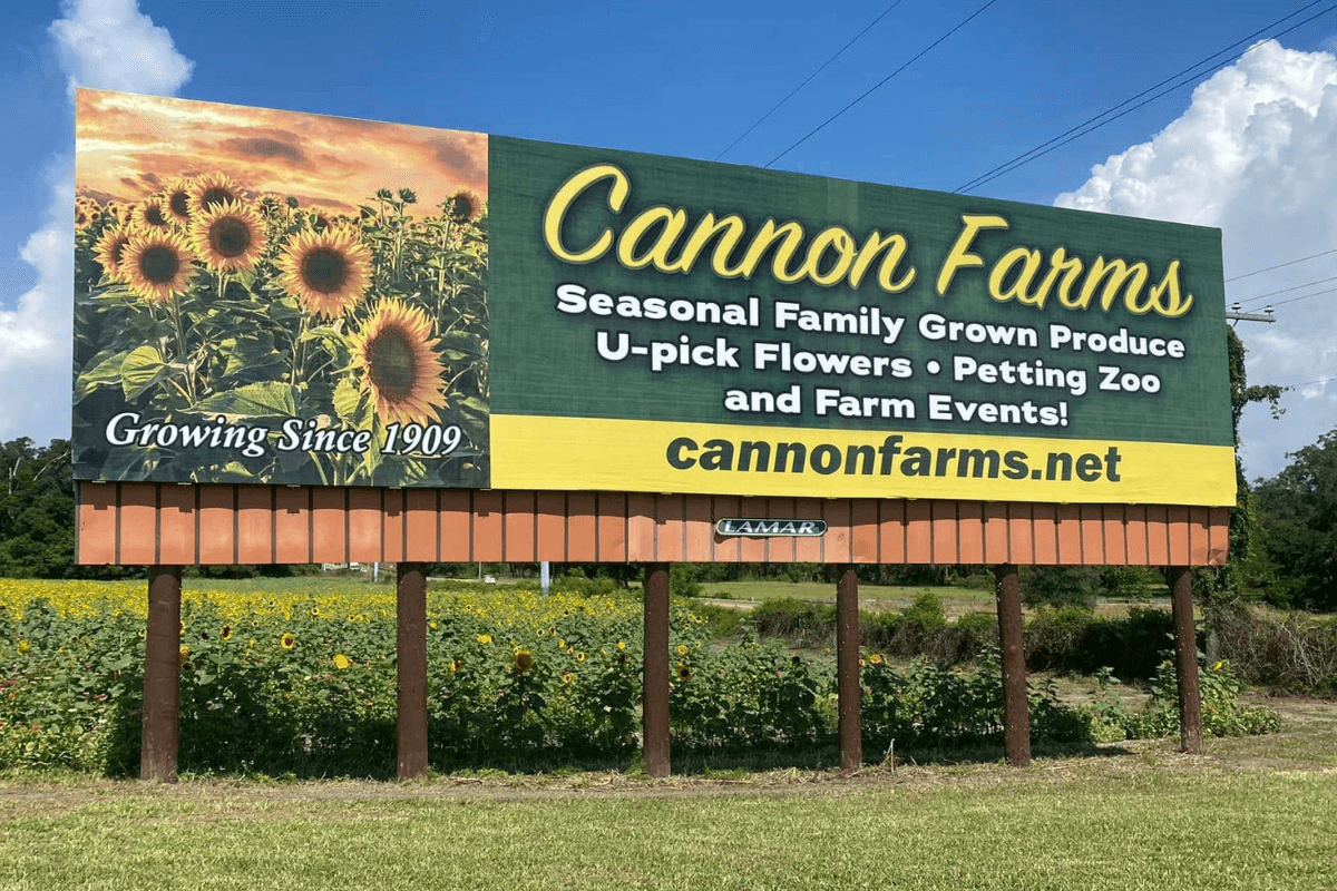 A Slice of Paradise: Watermelon Festivals in Florida • Authentic Florida