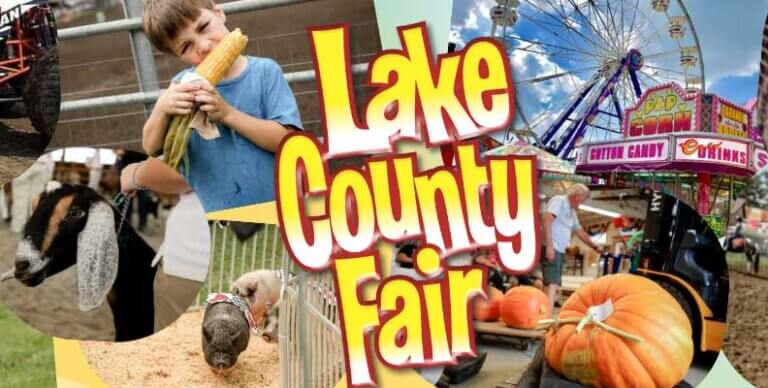 28+ Florida County Fairs to Visit This Year • Authentic Florida