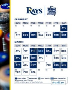 A Guide to MLB Spring Training in Florida (2026) • Authentic Florida