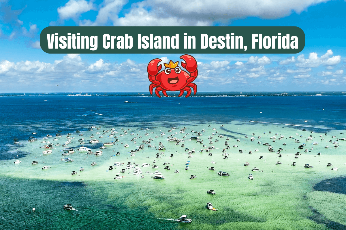 Visiting Crab Island in Destin, Florida • Authentic Florida