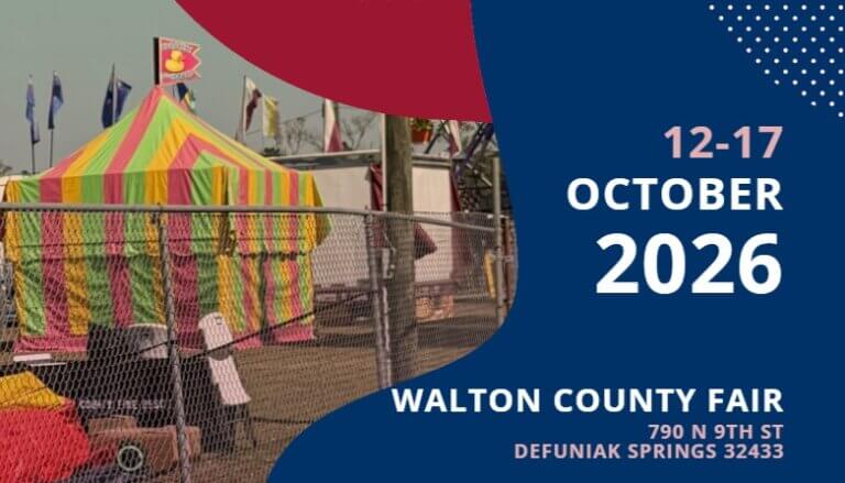 28+ Florida County Fairs to Visit This Year • Authentic Florida