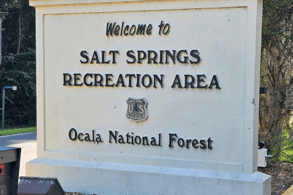 Salt Springs + Nearby Places to Eat, Stay, and Shop