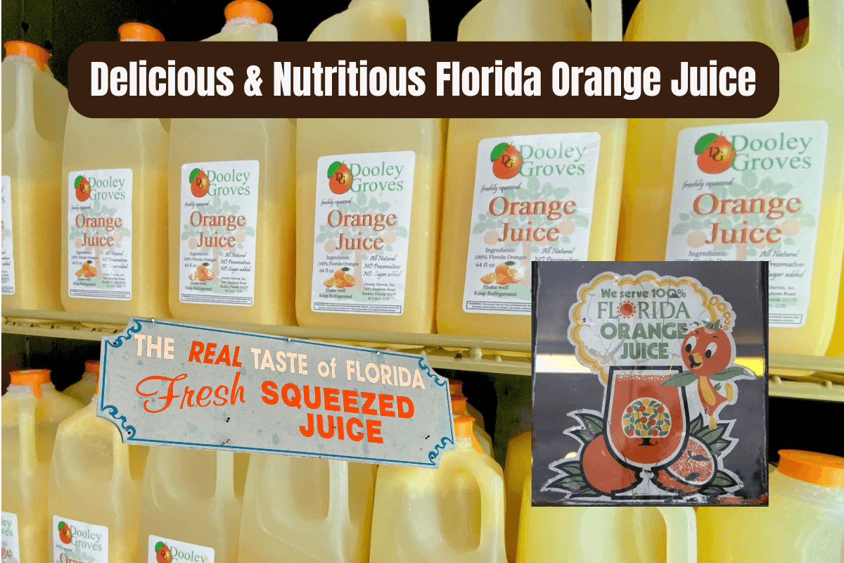 Delicious and Nutritious Florida Orange Juice