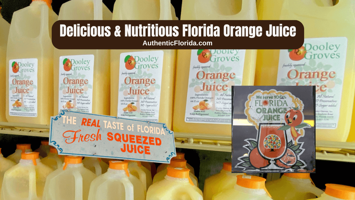 Delicious and Nutritious Florida Orange Juice