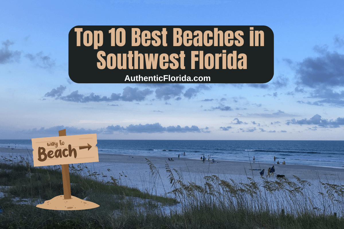 Top 10 Best Beaches in Southwest Florida • Authentic Florida
