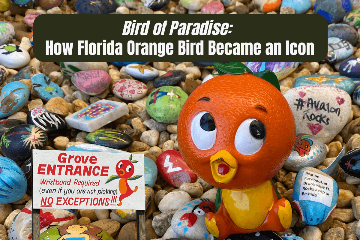 Bird of Paradise: How Florida Orange Bird Became an Icon • Authentic ...