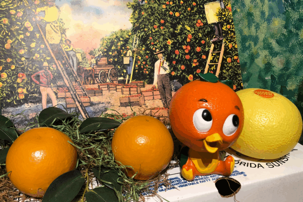 Bird of Paradise: How Florida Orange Bird Became an Icon • Authentic ...