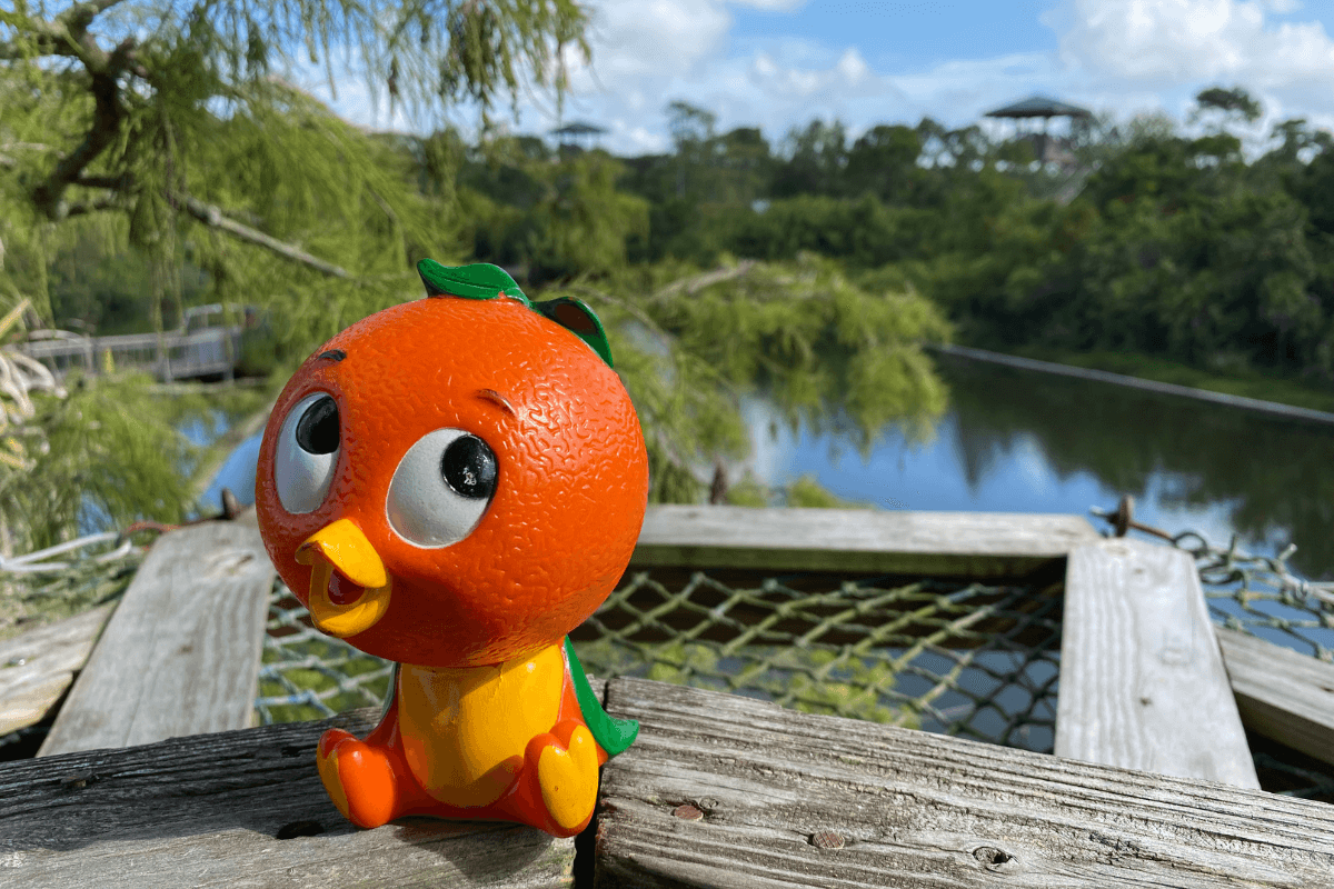 Bird of Paradise: How Florida Orange Bird Became an Icon • Authentic ...
