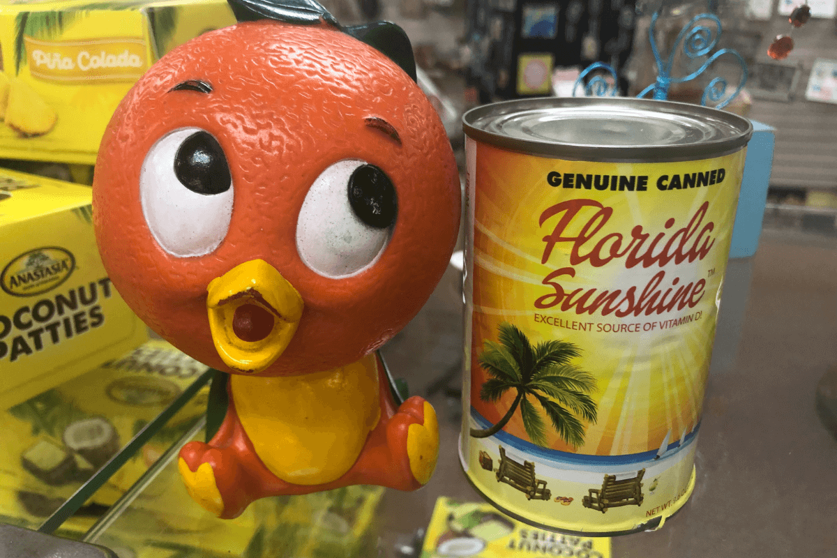 Bird of Paradise: How Florida Orange Bird Became an Icon • Authentic ...
